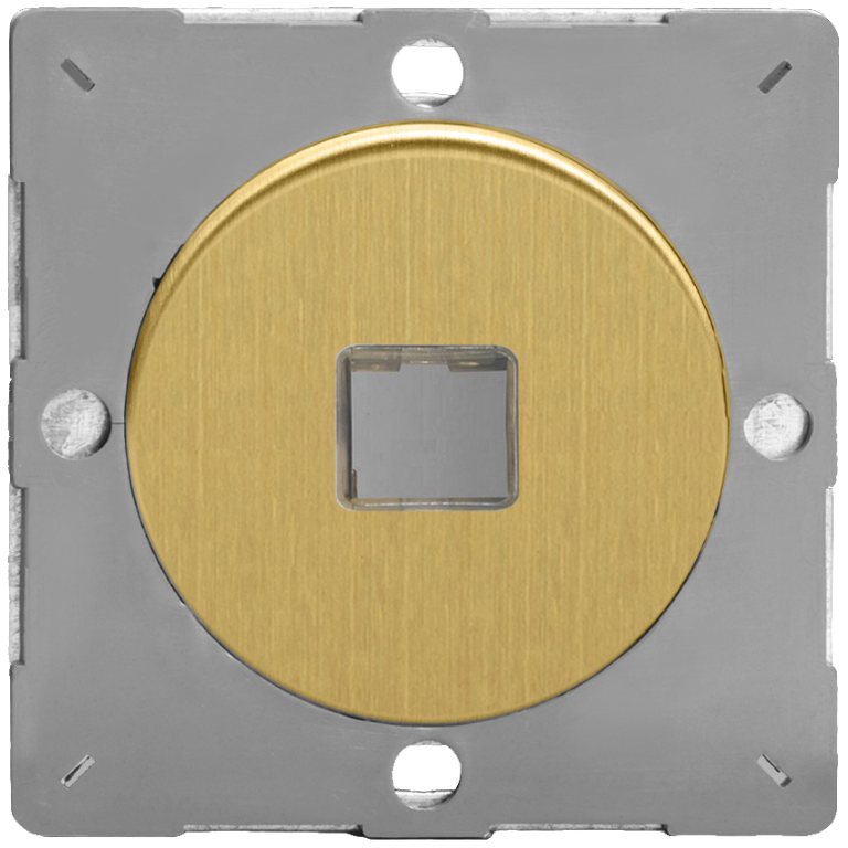 Varilight European VariGrid Brushed Brass 1 Gang EuroData Keystone Data ...