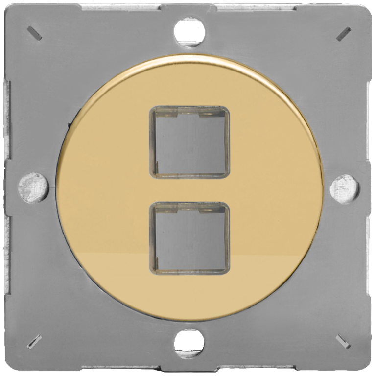 Varilight European VariGrid Polished Brass 2 Gang EuroData Keystone ...