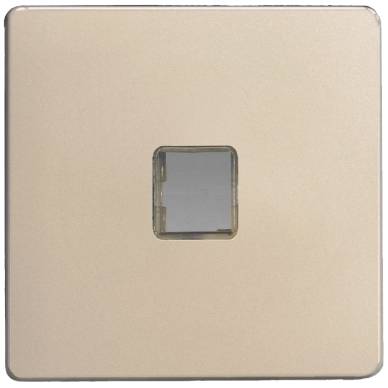 Varilight European Satin 1 Gang EuroData Keystone Data Grid Plate | L4L