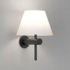 Astro Roma Matt Black Bathroom Wall Light (1050007) | L4L