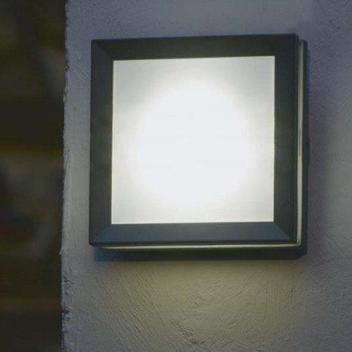 Lutec Lighting Mini Seine 3342S Square Wall Light at Love4Lighting
